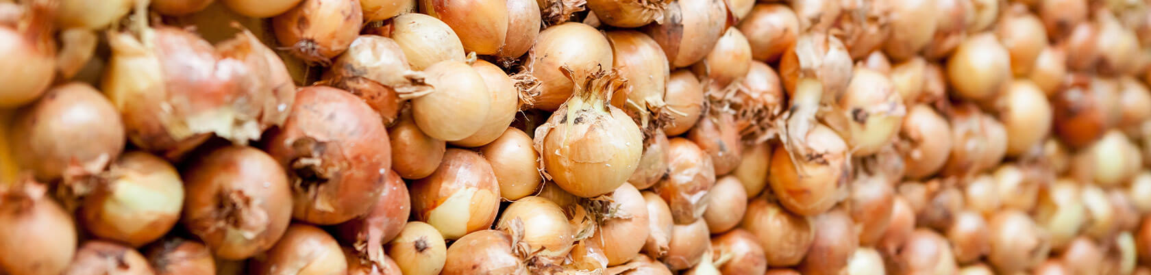 Onion Processing Machines 🧅| Industrial Dicing, Slicing, Mixing Equipment